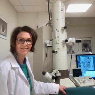 Lancement du tutorat FlexiSanté à l’université de Tours : entretien avec le Pr Emmanuelle ...